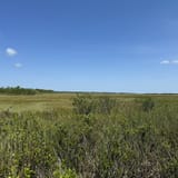 Anhinga Trail, Florida - 1,818 Reviews, Map | AllTrails