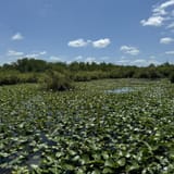 Anhinga Trail, Florida - 1,818 Reviews, Map | AllTrails