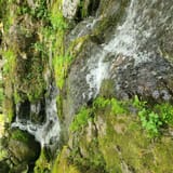 Jones Run Falls Trail, Virginia - 850 Reviews, Map | AllTrails