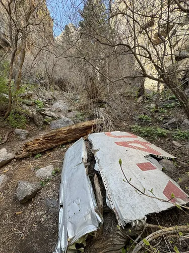Best Long Trails in Elena Gallegos Picnic Area/Albert G. Simms Park ...