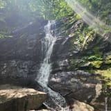 Jones Run Falls Trail, Virginia - 850 Reviews, Map | AllTrails