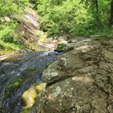 Jones Run Falls Trail, Virginia - 850 Reviews, Map | AllTrails