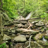 Jones Run Falls Trail, Virginia - 850 Reviews, Map | AllTrails