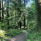 Tryon Creek Triple Bridge Loop, Oregon - 1,506 Reviews, Map | AllTrails