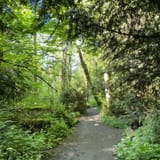 Tryon Creek Triple Bridge Loop, Oregon - 1,506 Reviews, Map | AllTrails