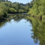 Mercer Slough Nature Park, Washington - 1,047 Reviews, Map | AllTrails