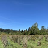 Mercer Slough Nature Park, Washington - 1,047 Reviews, Map | AllTrails
