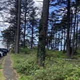 Hug Point Trail, Oregon - 840 Reviews, Map | AllTrails