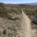 Keystone Canyon Trail, Nevada - 1,213 Reviews, Map | AllTrails