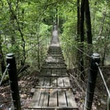 Savage Falls, Tennessee - 819 Reviews, Map | AllTrails
