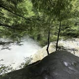 Savage Falls, Tennessee - 819 Reviews, Map | AllTrails