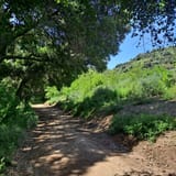 Powder Canyon Loop Trail, California - 2,396 Reviews, Map | AllTrails