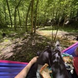 Peewah Trail (Red Loop), Missouri - 250 Reviews, Map | AllTrails