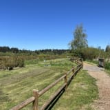 Mercer Slough Nature Park, Washington - 1,047 Reviews, Map | AllTrails