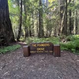 Founders Grove Nature Trail, California - 1,257 Reviews, Map | AllTrails