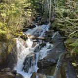 Ira Spring Memorial Trail, Washington - 2,086 Reviews, Map | AllTrails