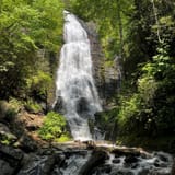 Mingo Falls Trail, North Carolina - 1,760 Reviews, Map | AllTrails