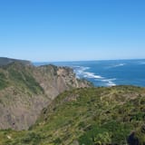 Mercer Bay Loop Track, Auckland, New Zealand - 634 Reviews, Map | AllTrails