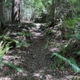 Echo Peak Loop Trail, Washington - 1,739 Reviews, Map | AllTrails