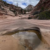 Many Pools Trail, Utah - 1,543 Reviews, Map | AllTrails