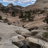 Many Pools Trail, Utah - 1,543 Reviews, Map | AllTrails