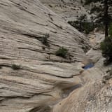 Many Pools Trail, Utah - 1,543 Reviews, Map | AllTrails
