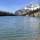Johnson Lake, Alberta, Canada - 1,729 Reviews, Map | AllTrails