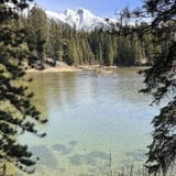 Johnson Lake, Alberta, Canada - 1,729 Reviews, Map | AllTrails