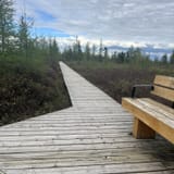 Mer Bleue Bog Trail, Ontario, Canada - 486 Reviews, Map | AllTrails