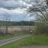 Mer Bleue Bog Trail, Ontario, Canada - 486 Reviews, Map | AllTrails