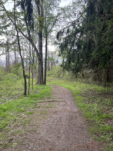 Best River Trails in Webster | AllTrails