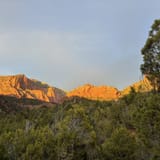 Middle Fork Taylor Creek Trail, Utah - 3,275 Reviews, Map | AllTrails