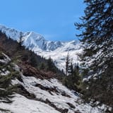 Loop Brook Trail, British Columbia, Canada - 251 Reviews, Map | AllTrails