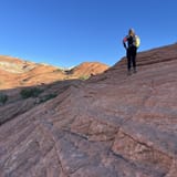 Butterfly, Lava Flow Overlook, West Canyon, and Petrified Dunes Loop ...