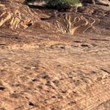 Butterfly, Lava Flow Overlook, West Canyon, and Petrified Dunes Loop ...