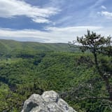 Seneca Rocks Trail, West Virginia - 2,828 Reviews, Map | AllTrails