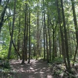 Dash Point Trail, Washington - 1,241 Reviews, Map | AllTrails