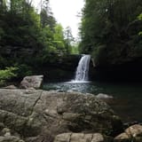 Savage Falls, Tennessee - 819 Reviews, Map | AllTrails