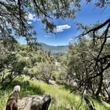 Angel Falls via Willow Creek Trail, California - 2,227 Reviews, Map ...