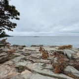 Ocean Path Trail, Maine - 3,467 Reviews, Map | AllTrails
