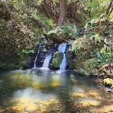 Cataract Falls Trail, California - 3,816 Reviews, Map | AllTrails