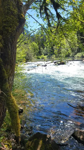 Best River Trails in Maple Valley | AllTrails