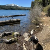 Suttle Lake Loop, Oregon - 857 Reviews, Map | AllTrails