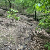 White Bison Loop, Missouri - 2,407 Reviews, Map | AllTrails