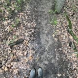 White Bison Loop, Missouri - 2,339 Reviews, Map | AllTrails