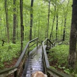 Mounds State Park, Indiana - 241 Reviews, Map | AllTrails