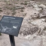 Trail Through Time, Colorado - 328 Reviews, Map | AllTrails