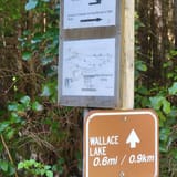 Wallace Falls and Wallace Lake Loop, Washington - 1,262 Reviews, Map ...