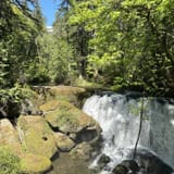 Whatcom Creek Trail Loop, Washington - 1,962 Reviews, Map | AllTrails