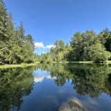 Whatcom Creek Trail Loop, Washington - 1,962 Reviews, Map | AllTrails